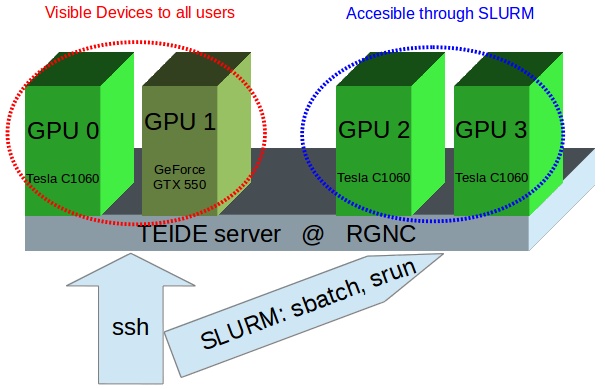HPC and GPU computing at RGNC | Research Group on Natural Computing